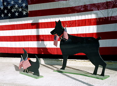 Flagging Spirits: Marion Faller